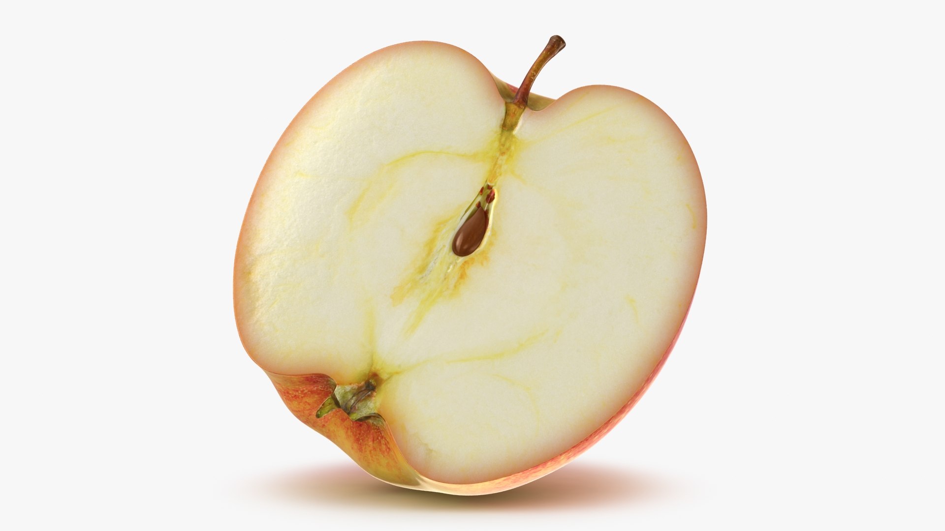 Half Red Apple 3D Model - TurboSquid 1885680