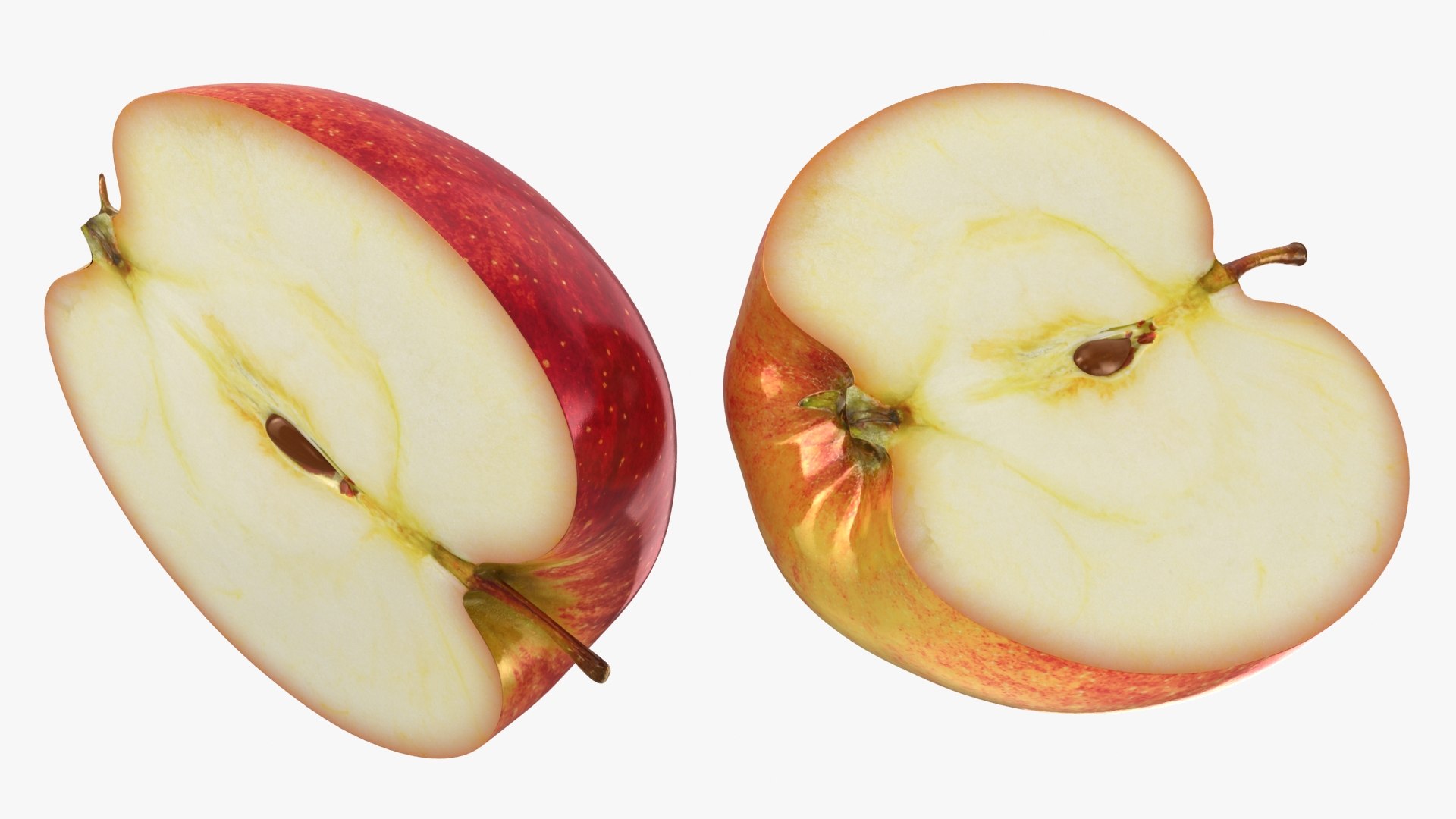 Half Red Apple 3D model - TurboSquid 1885680