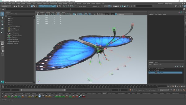 modelo 3d Mariposa Morpho Azul Rigged Xgen - TurboSquid 2292218