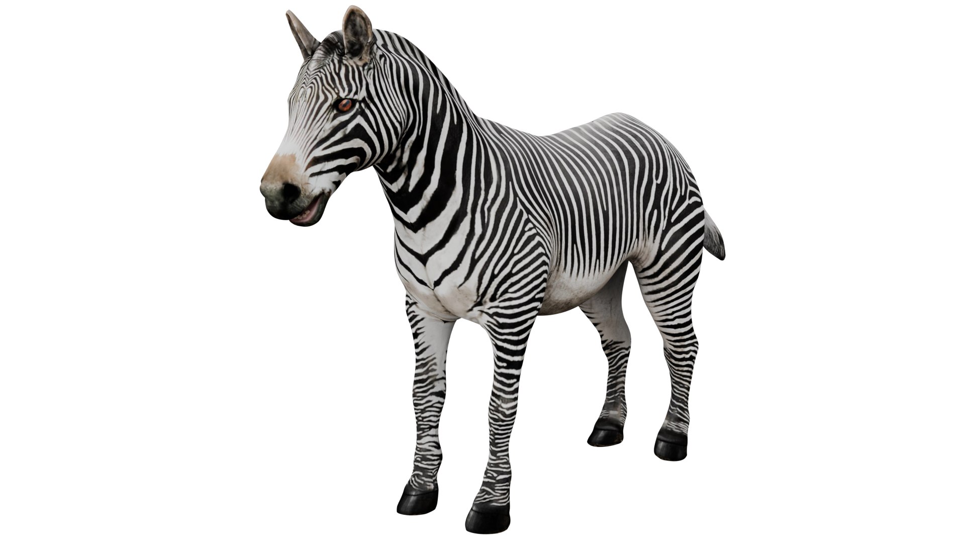 3D Zebra Rigged - TurboSquid 2190907