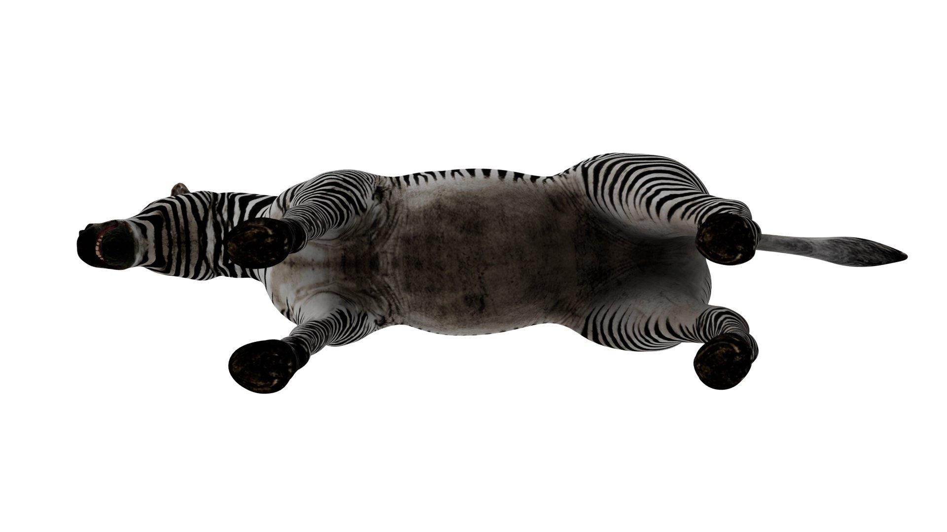 3D Zebra Rigged - TurboSquid 2190907