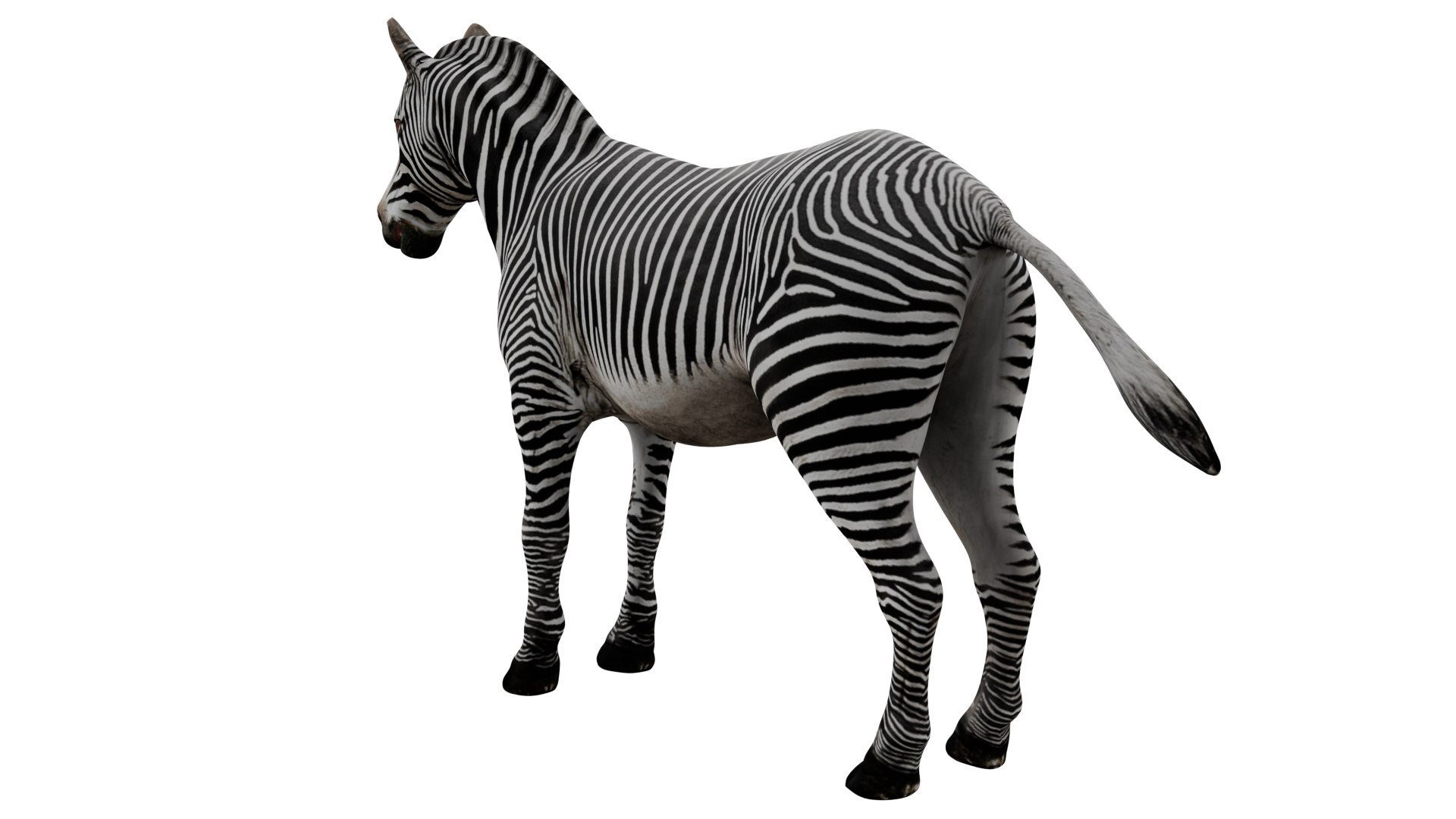 3D Zebra Rigged - TurboSquid 2190907