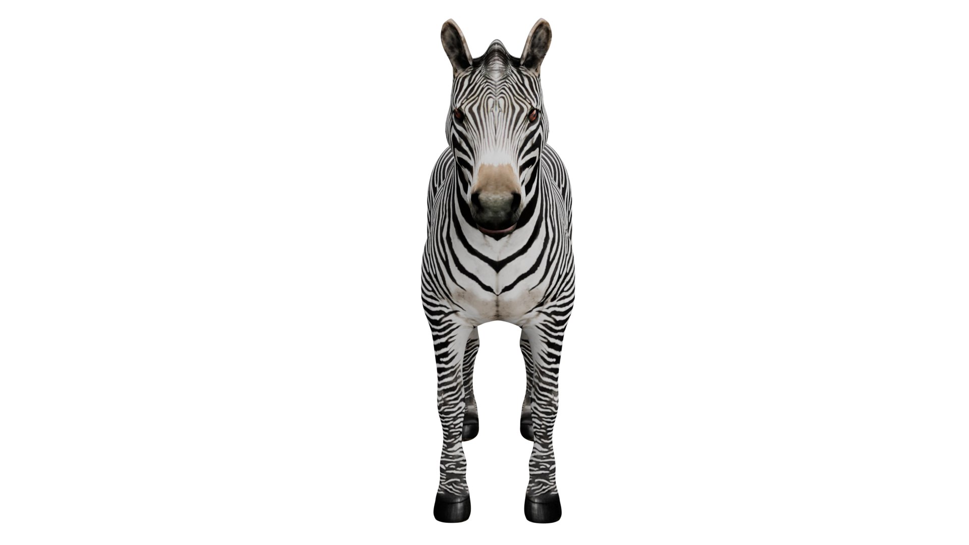 3D Zebra Rigged - TurboSquid 2190907