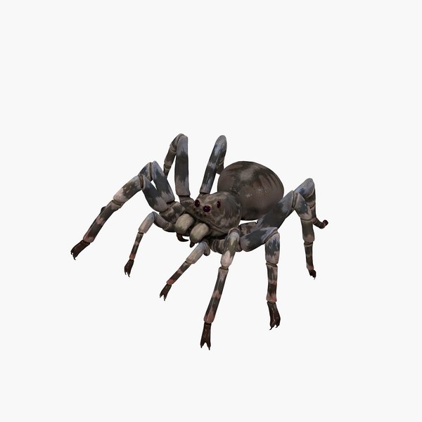 Invertebrate 3D Models for Download | TurboSquid