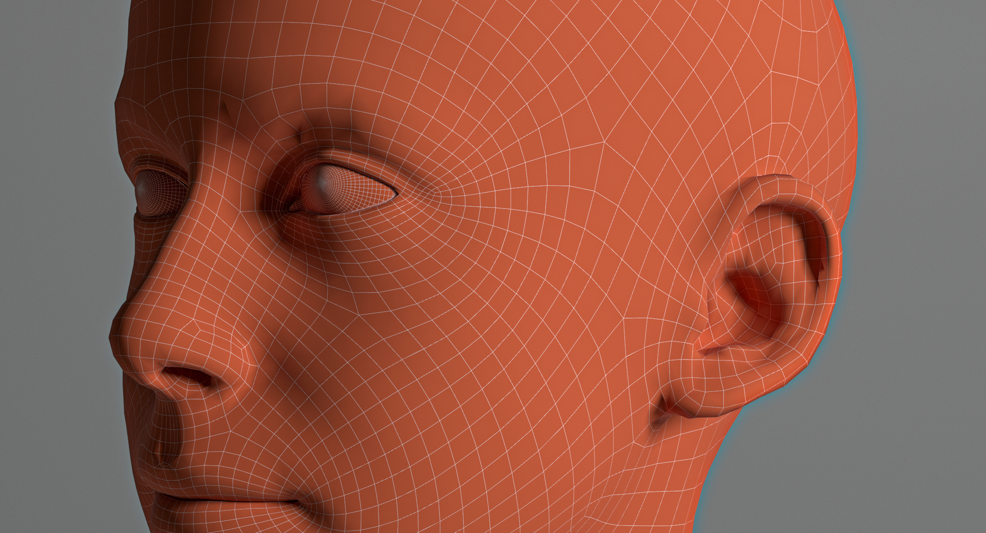 3D Rhea Female Head with Hair model - TurboSquid 1749118