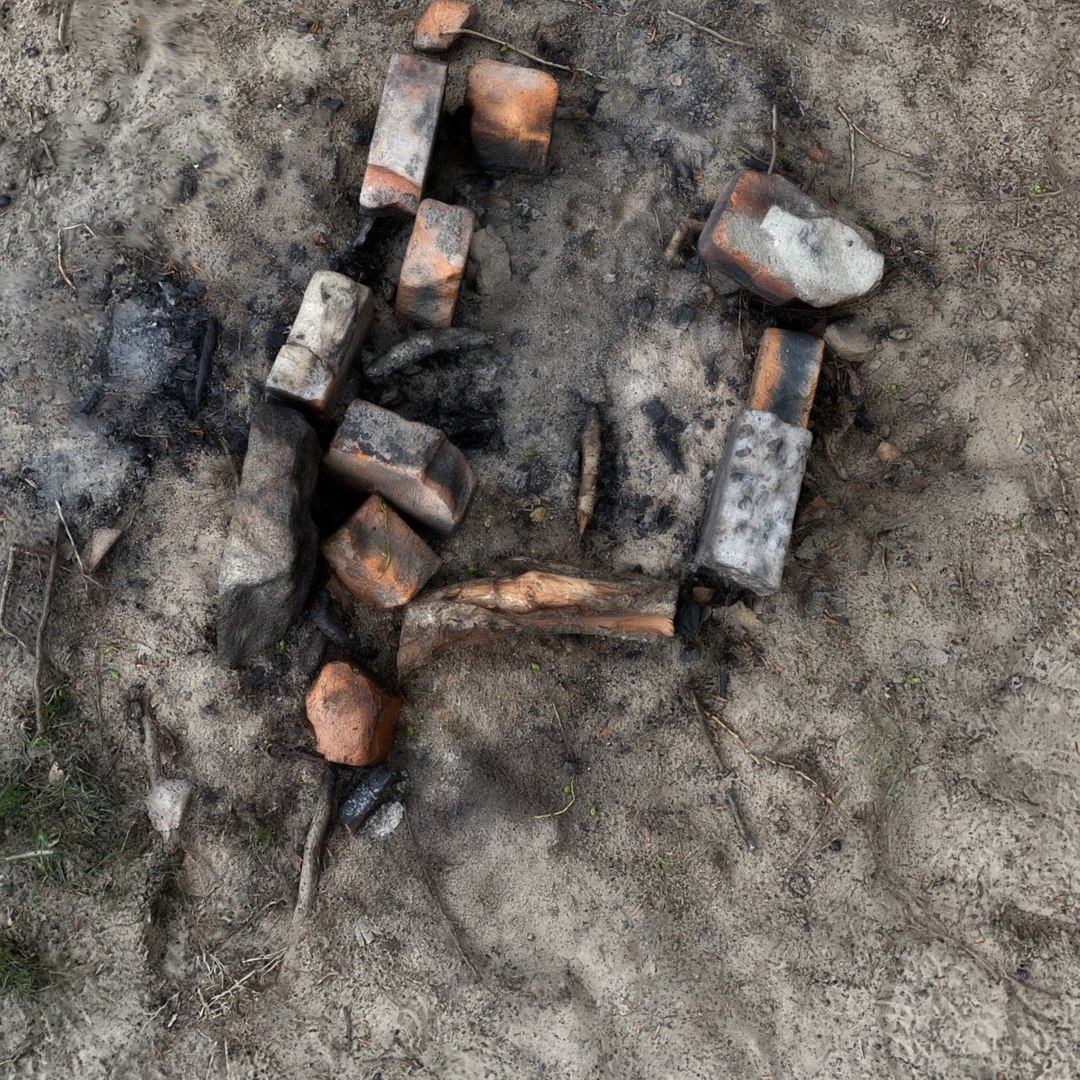 Abandoned Campfire Pit With Burnt Wood And Bricks Scan 3D Model - TurboSquid 2406993