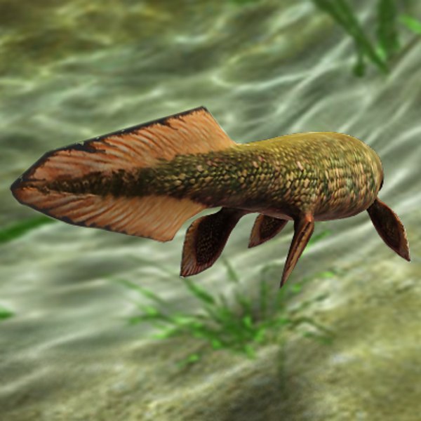 modelo 3d Panderichthys por 3DRivers - TurboSquid 491124