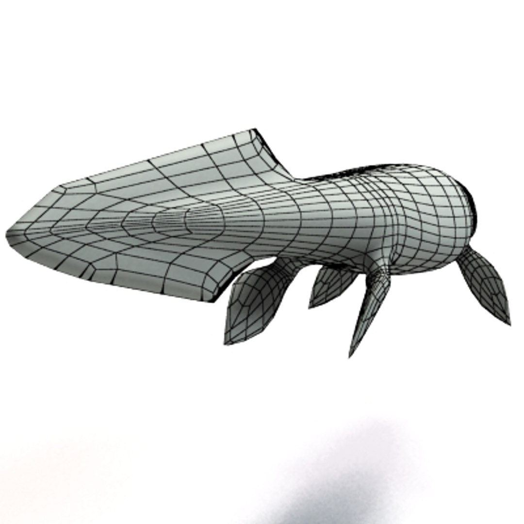 Maya Panderichthys Prehistoric Fish