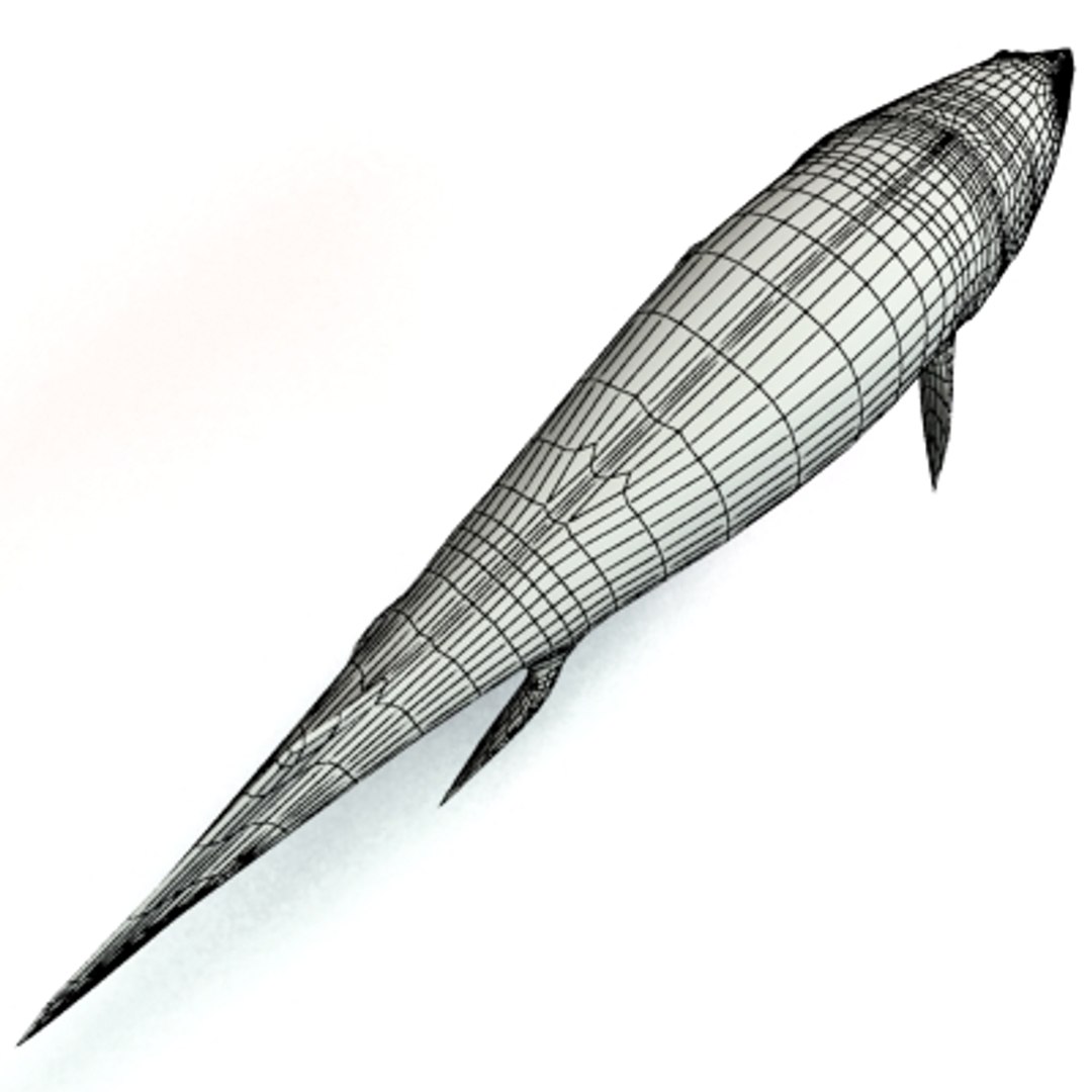 Maya Panderichthys Prehistoric Fish