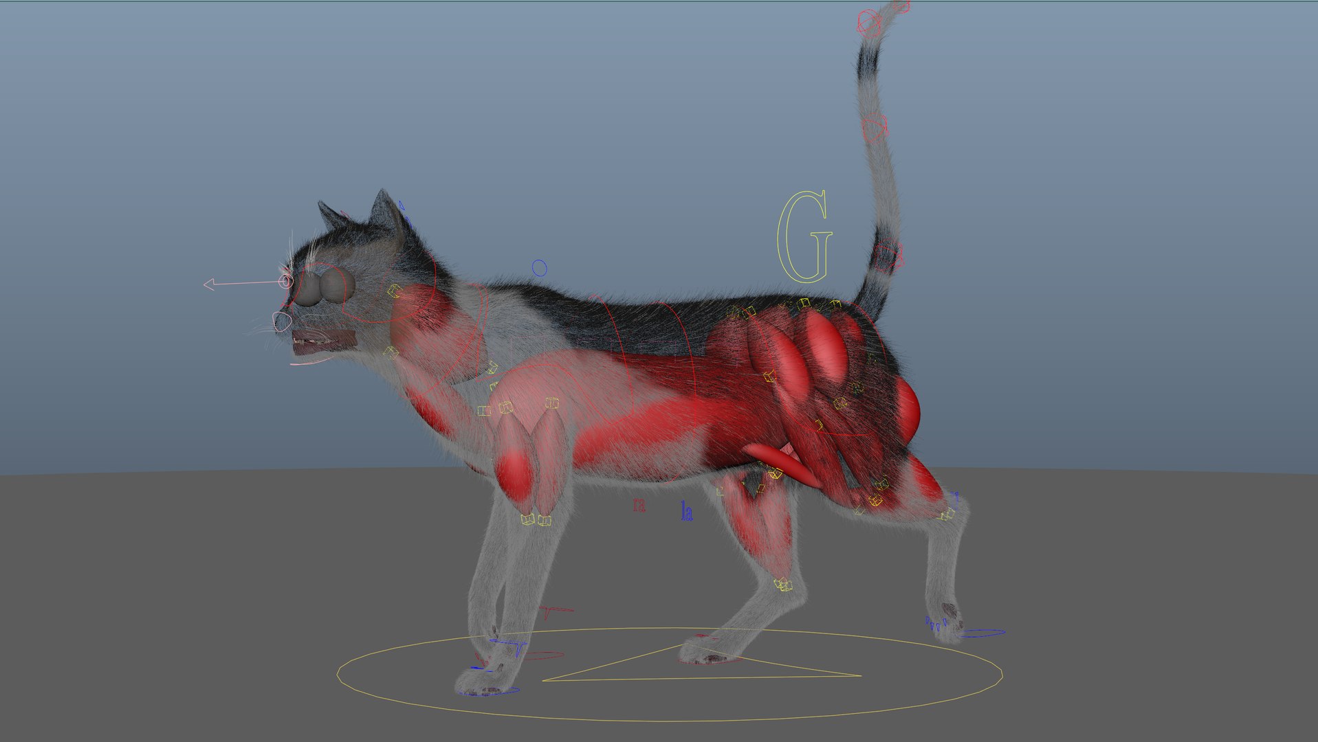 3D The Cat Advanced Maya Muscle Rig Model - TurboSquid 2370429