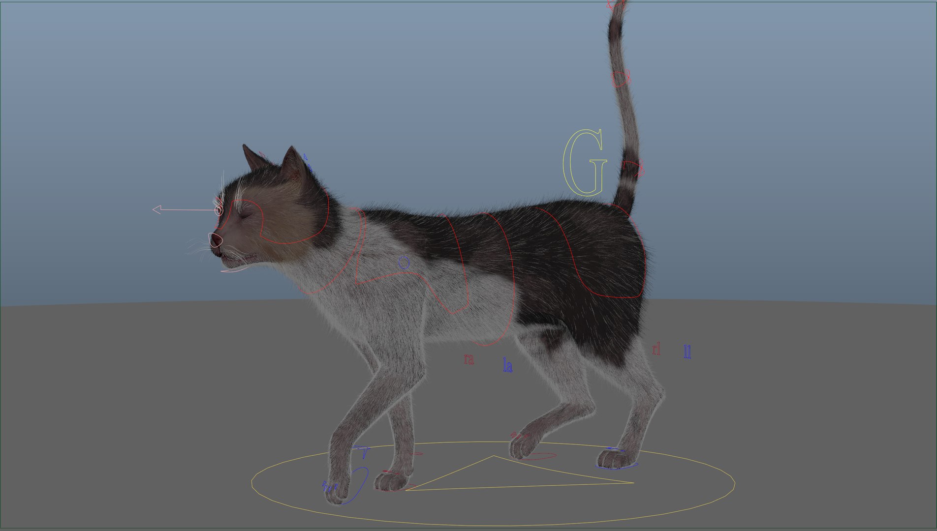 3D The Cat Advanced Maya Muscle Rig Model - TurboSquid 2370429