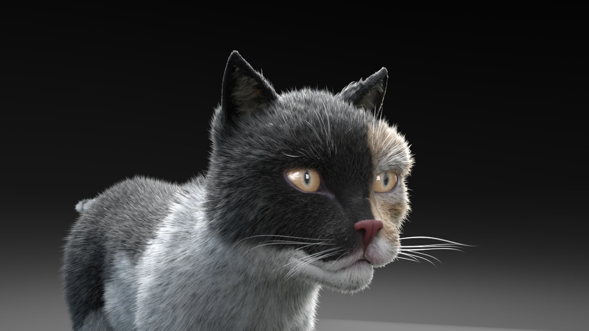 3D The Cat Advanced Maya Muscle Rig Model - TurboSquid 2370429