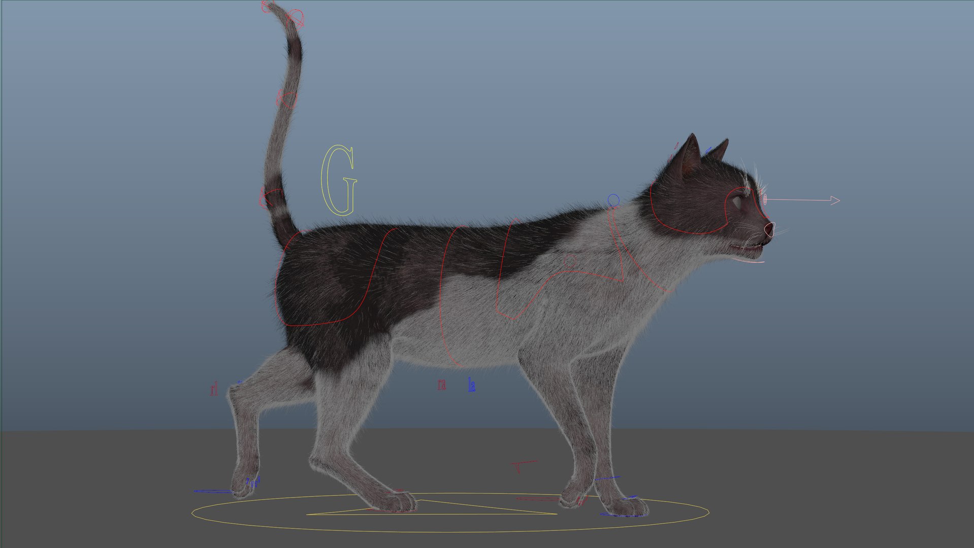 3D The Cat Advanced Maya Muscle Rig Model - TurboSquid 2370429