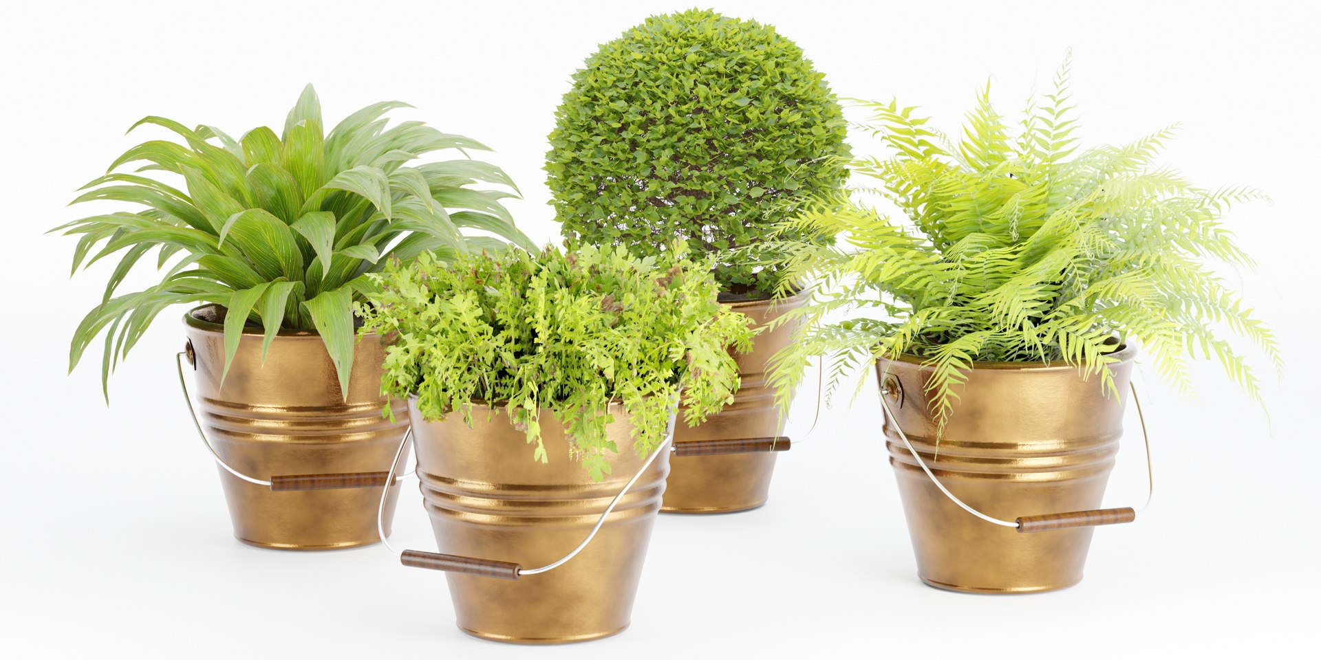 Outdoor Natural Plants Collection Vol 65-Blender 3D Model - TurboSquid ...