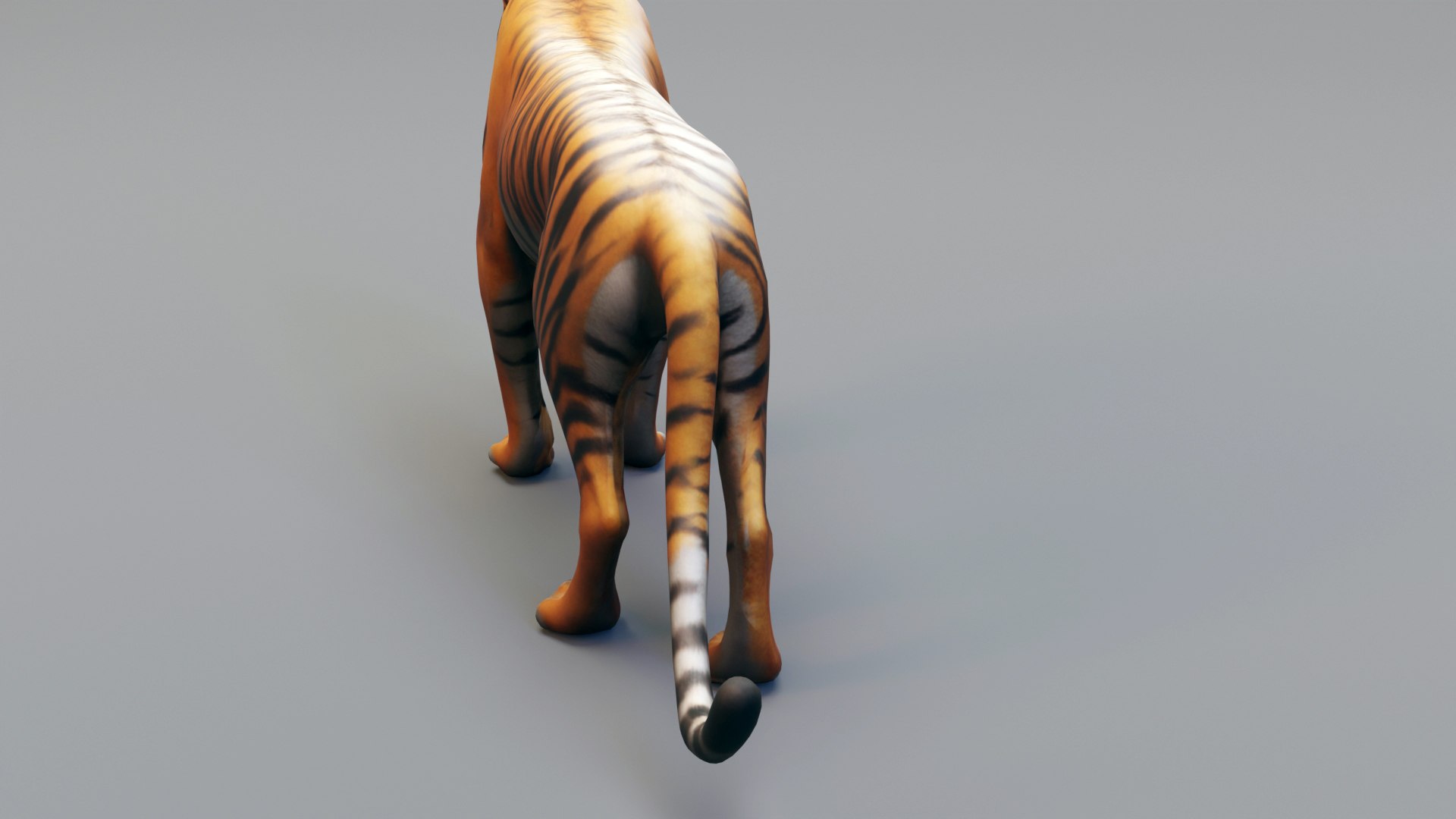 Premium Bengal Tiger 3D Model - Highly Realistic 3D - TurboSquid 2355154