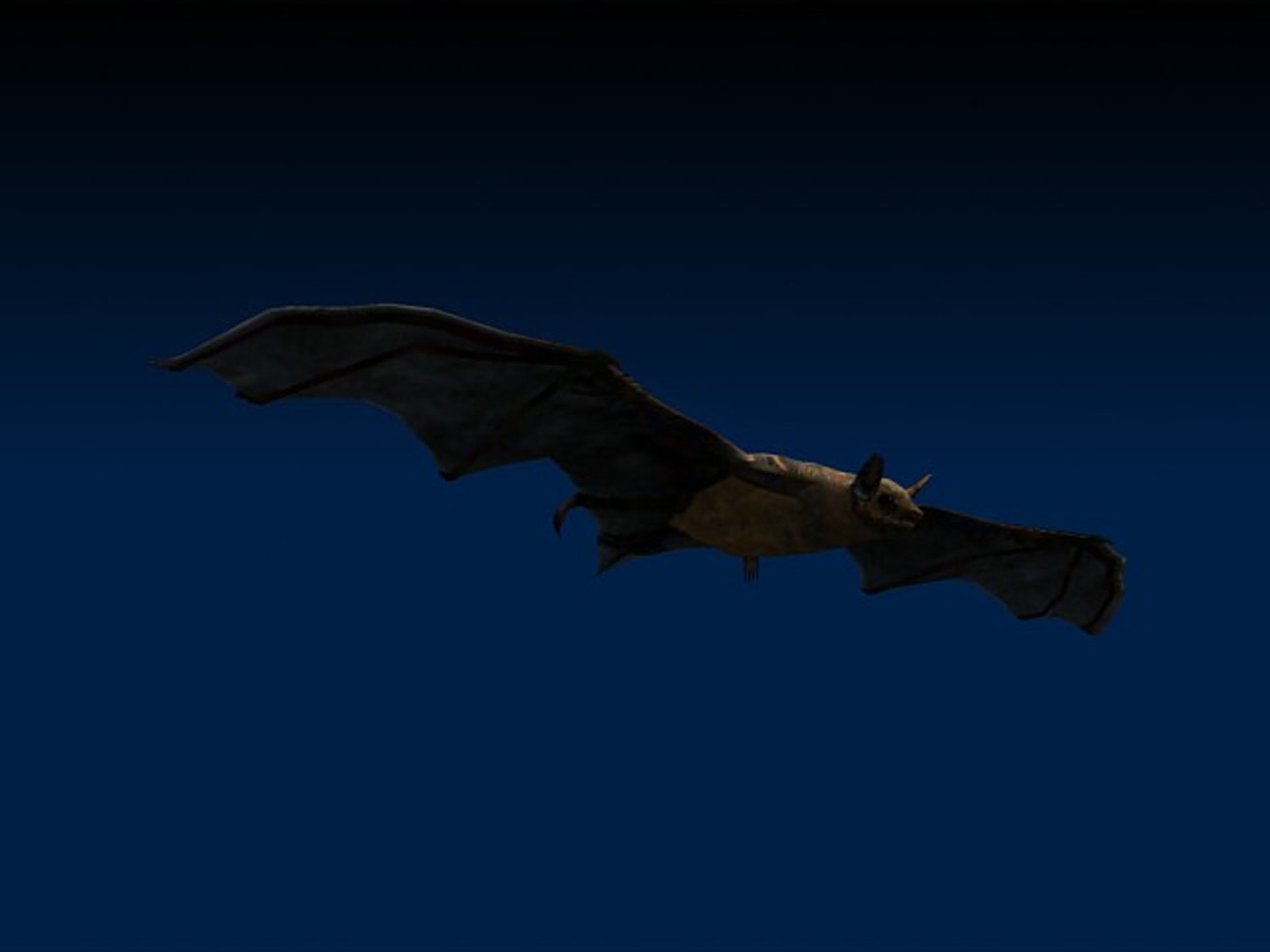 Brown Bat Max