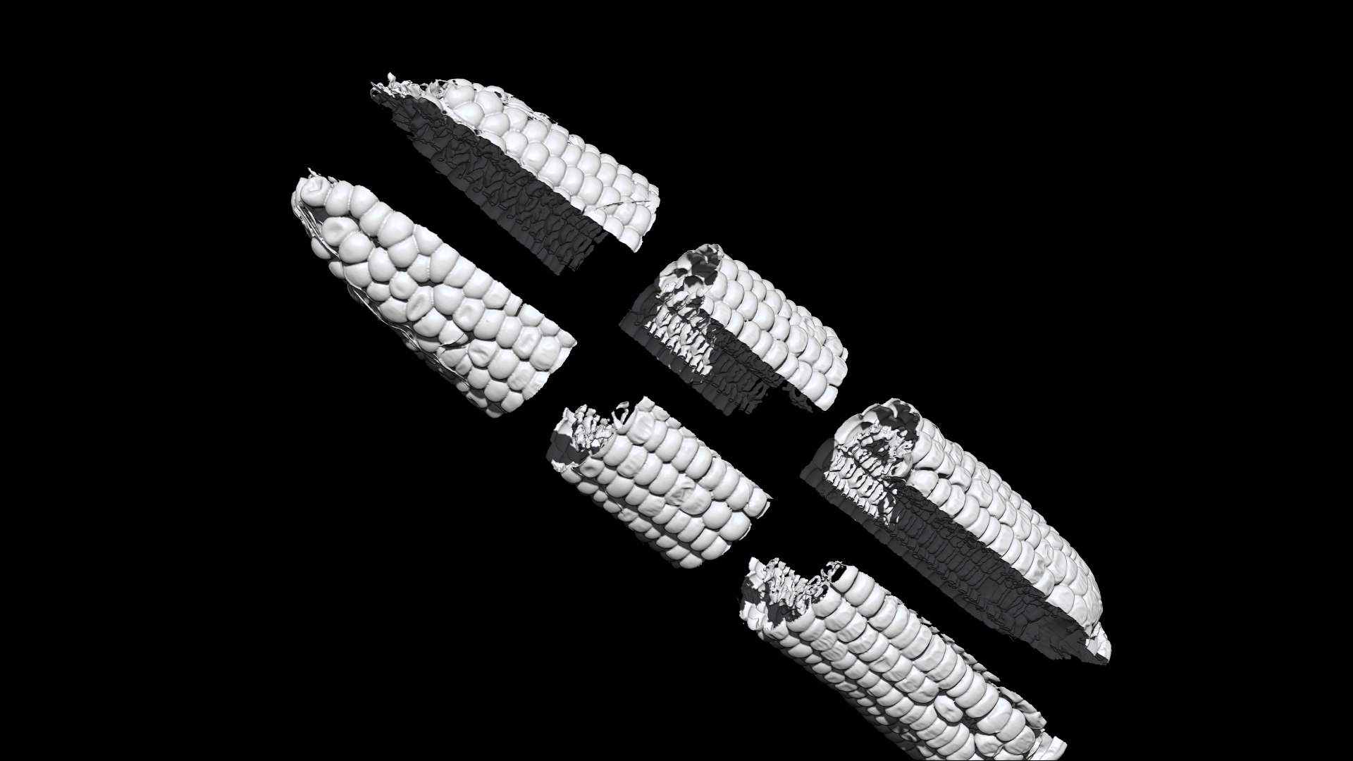 3D Model Corn 3D CT Scan Model Cut3 Decimate 80 Percent - TurboSquid ...