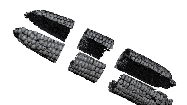3D model corn 3D CT scan model cut3 decimate 80 percent - TurboSquid ...