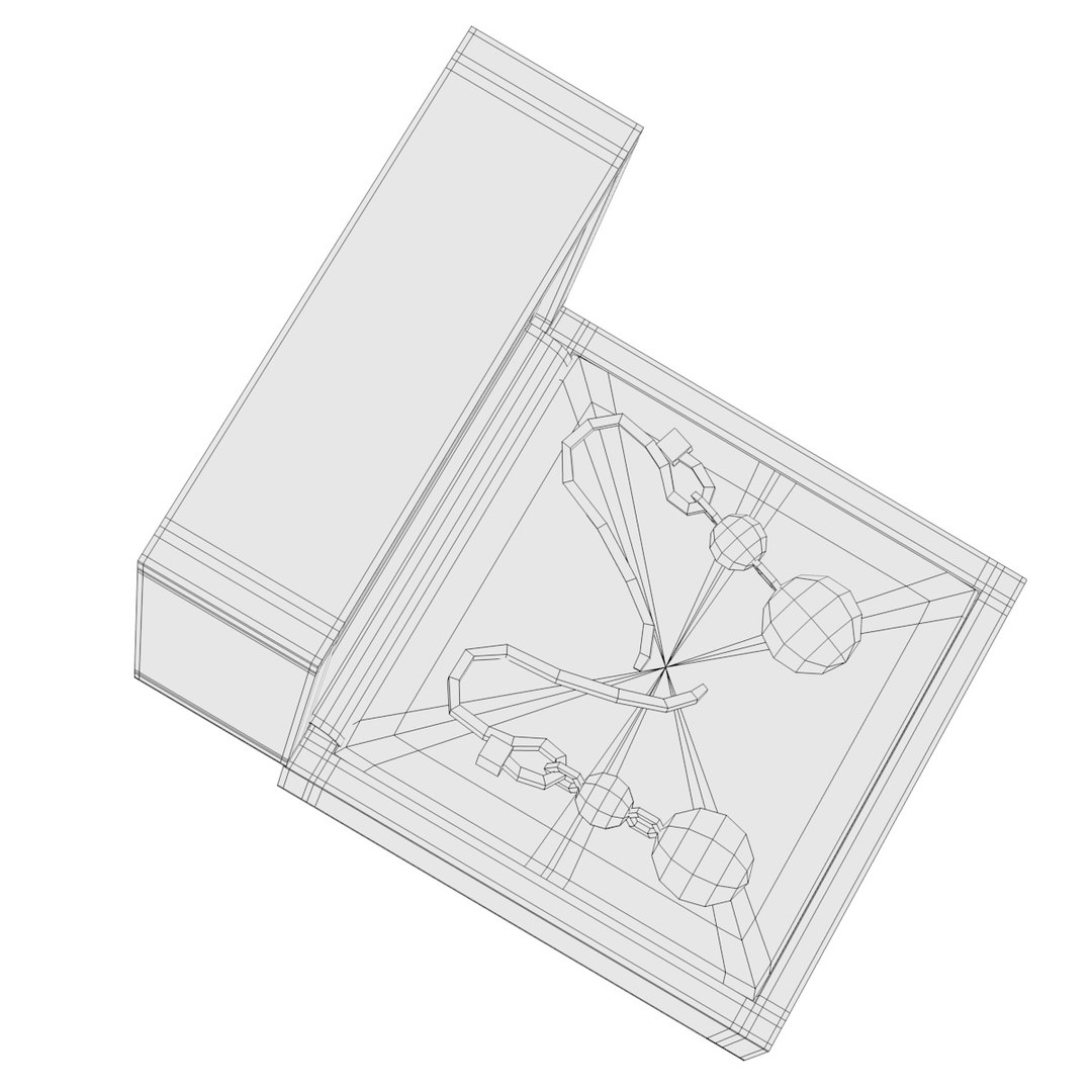 Earrings Box 3d Model