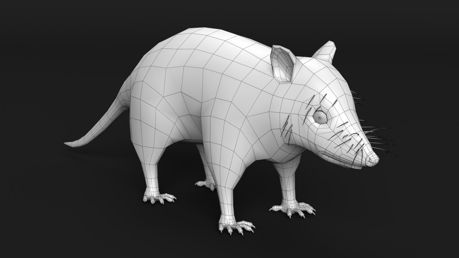 3D Skunk Chipmunk Mouse - TurboSquid 1687004