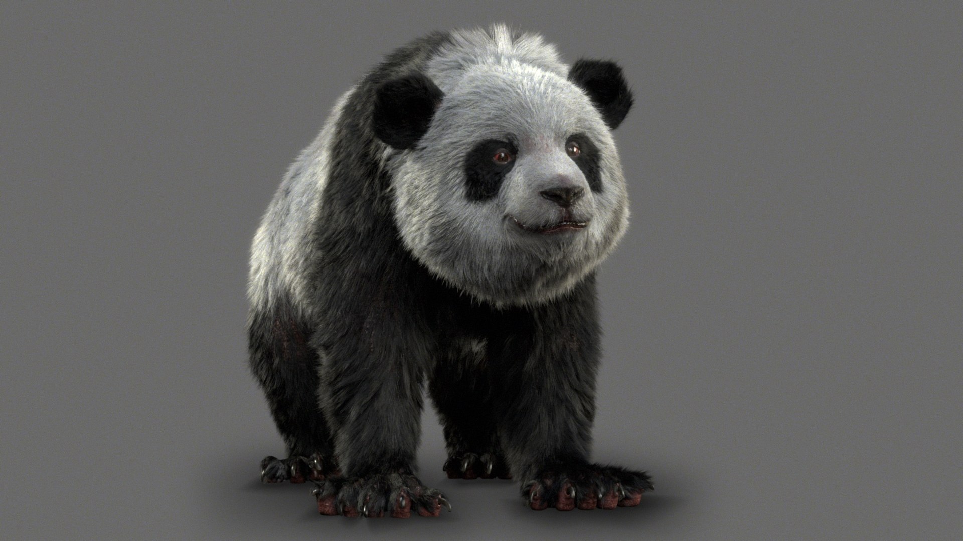 Giant Panda MODEL 3D - TurboSquid 1750428
