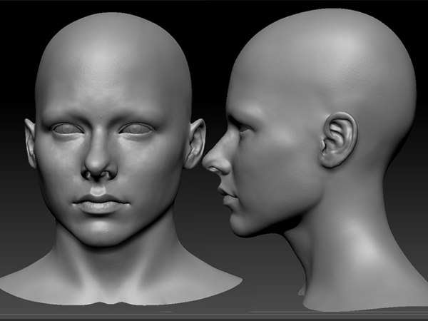 3d zbrush male head