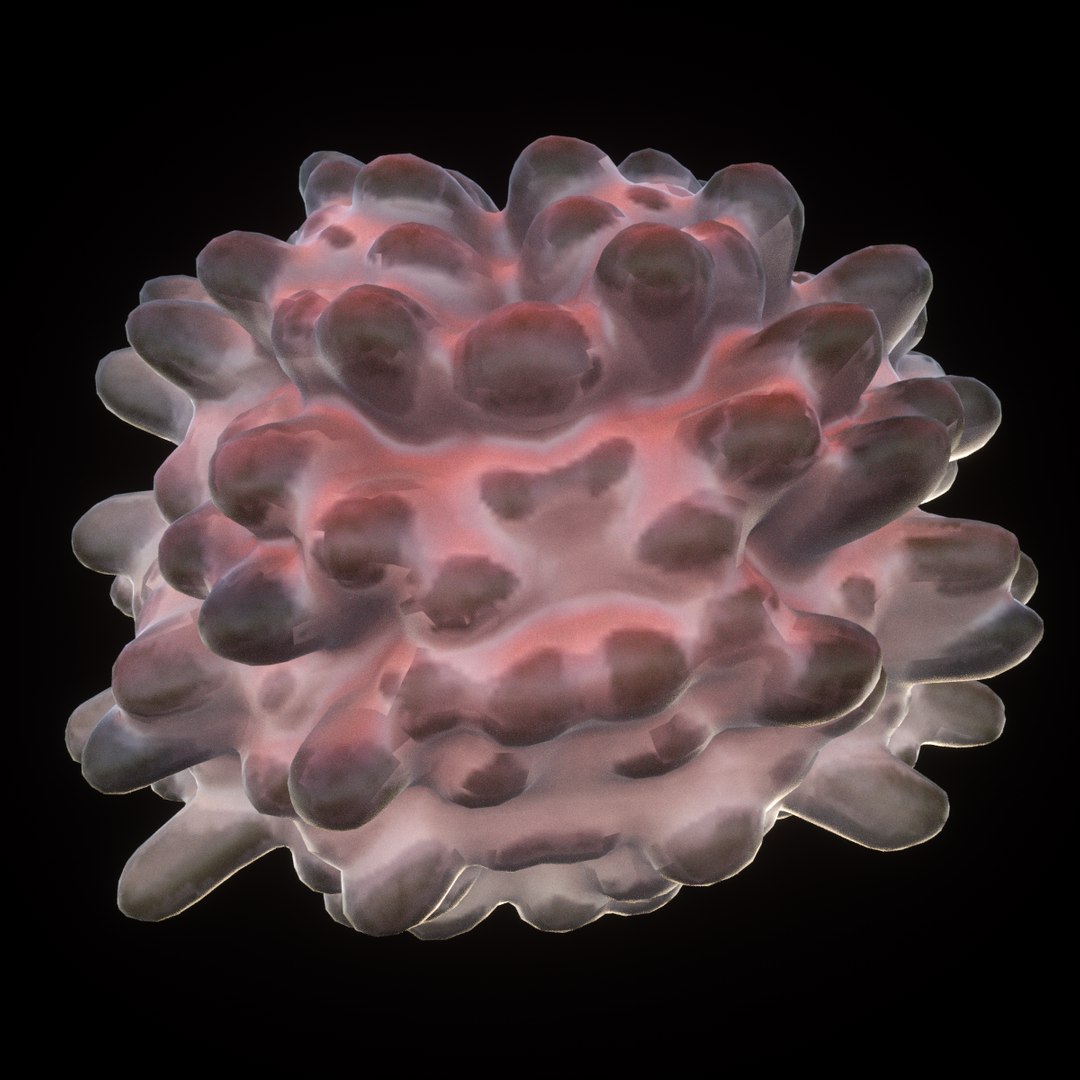 3D Model T Lymphocytes - TurboSquid 1388084
