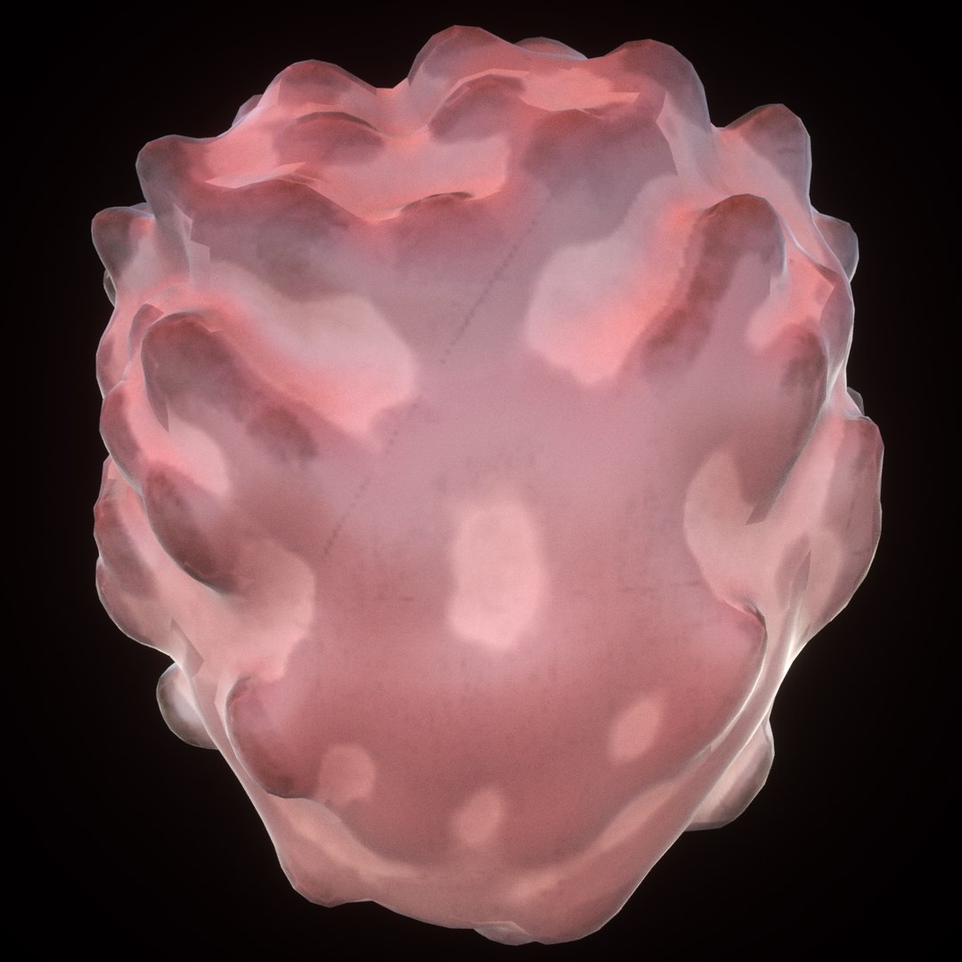 3D Model T Lymphocytes - TurboSquid 1388084