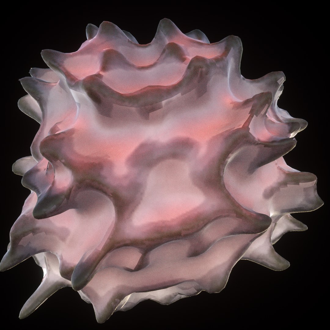 3D Model T Lymphocytes - TurboSquid 1388084