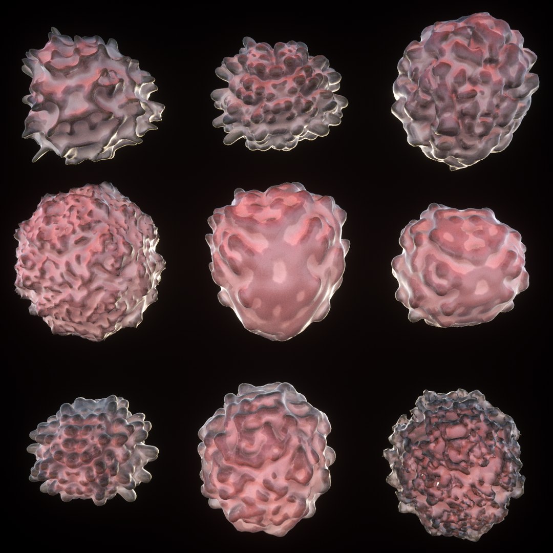 3D Model T Lymphocytes - TurboSquid 1388084