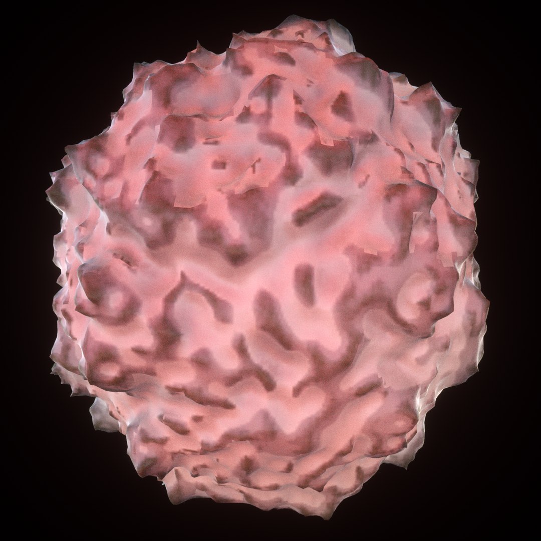 3D Model T Lymphocytes - TurboSquid 1388084
