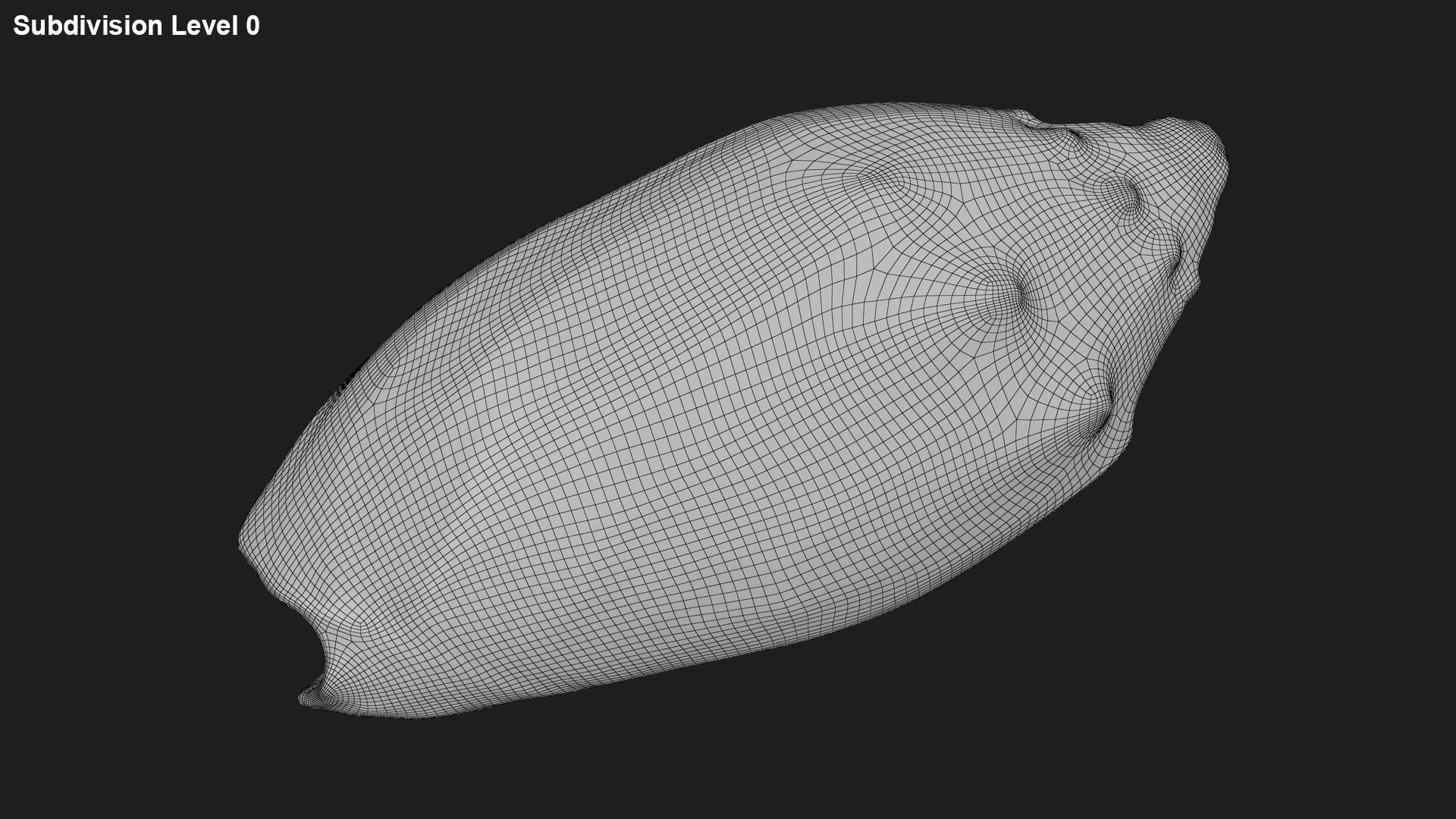 3D Cymbiola Mariaemma Model - TurboSquid 2291647