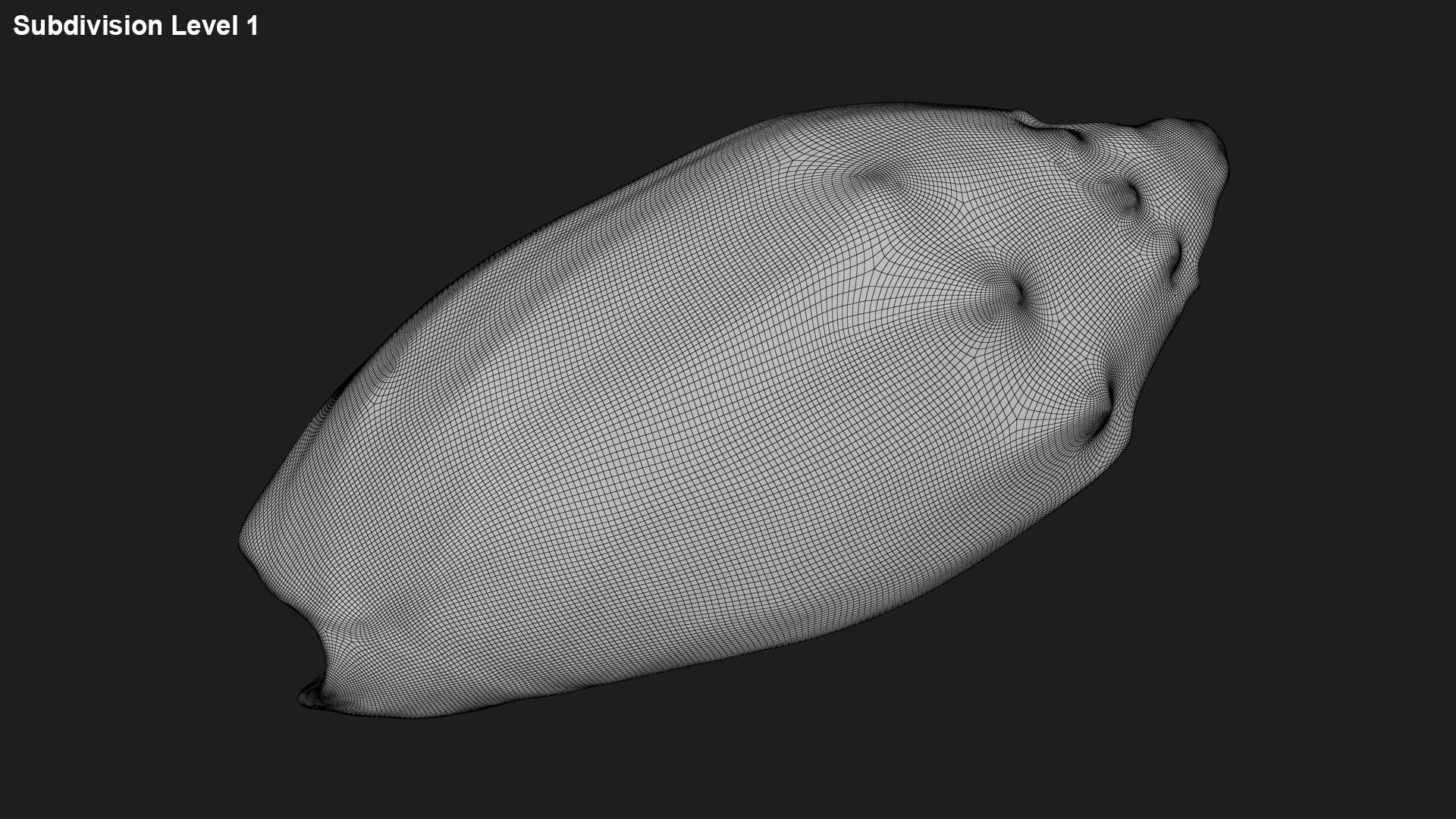 3D Cymbiola Mariaemma Model - TurboSquid 2291647