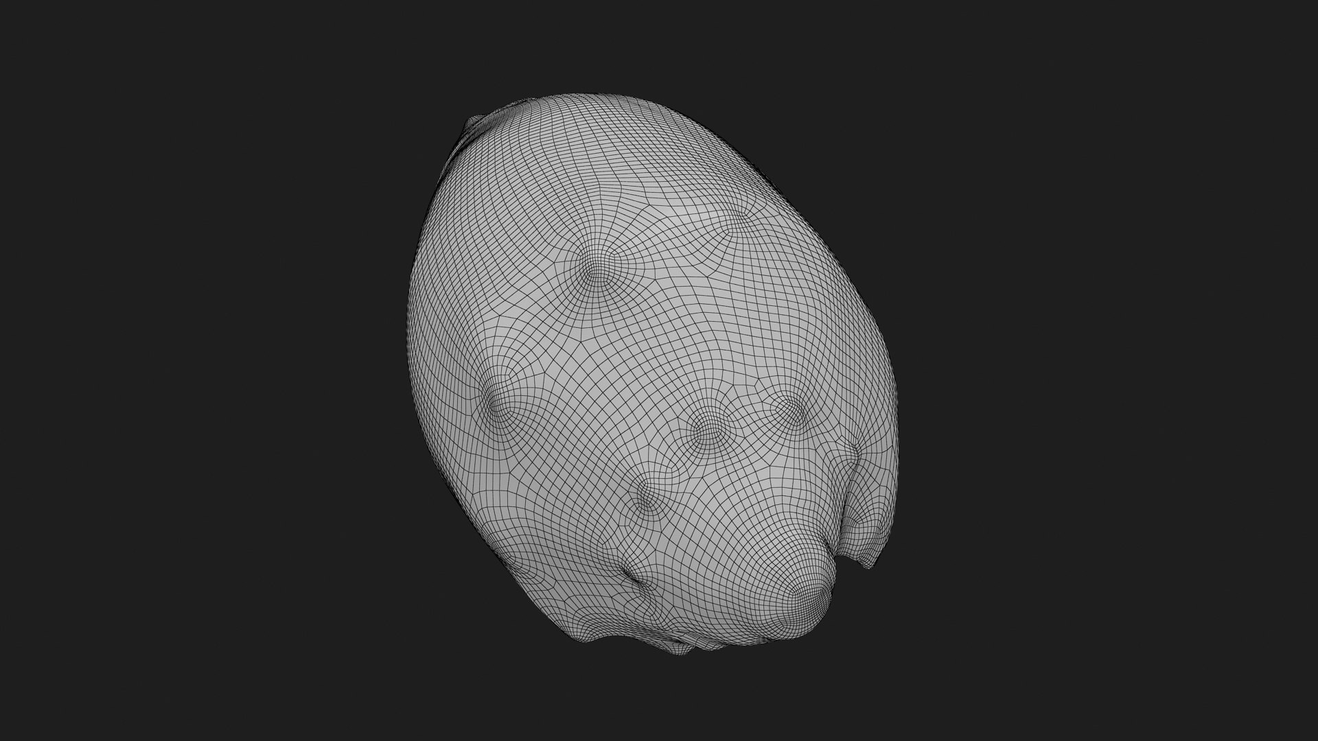 3D Cymbiola Mariaemma Model - TurboSquid 2291647