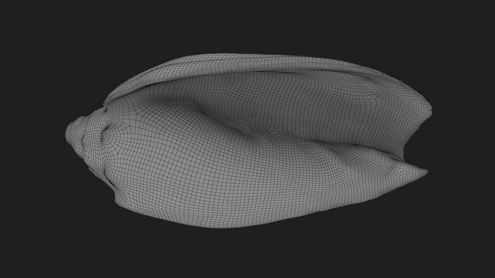 3D Cymbiola Mariaemma Model - TurboSquid 2291647