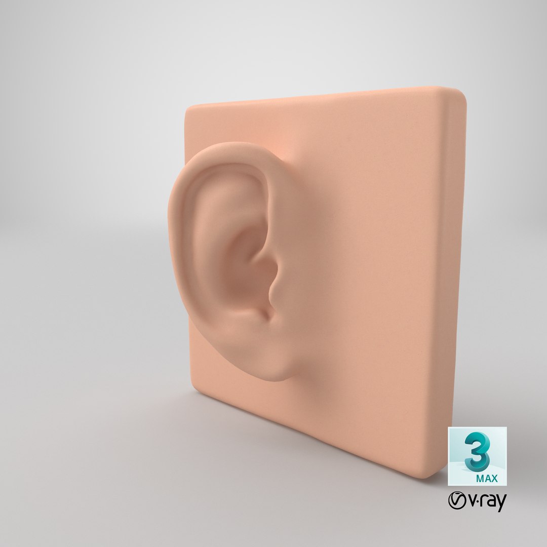 Ear 3D Model - TurboSquid 1448067