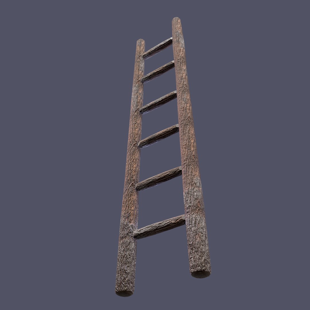 Muddy Ladder 3D Model - TurboSquid 1494440