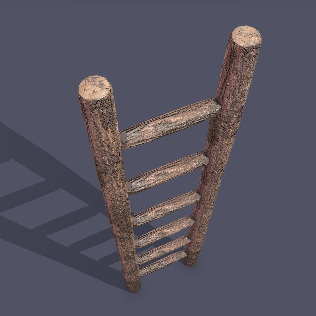 Muddy Ladder 3D Model - TurboSquid 1494440