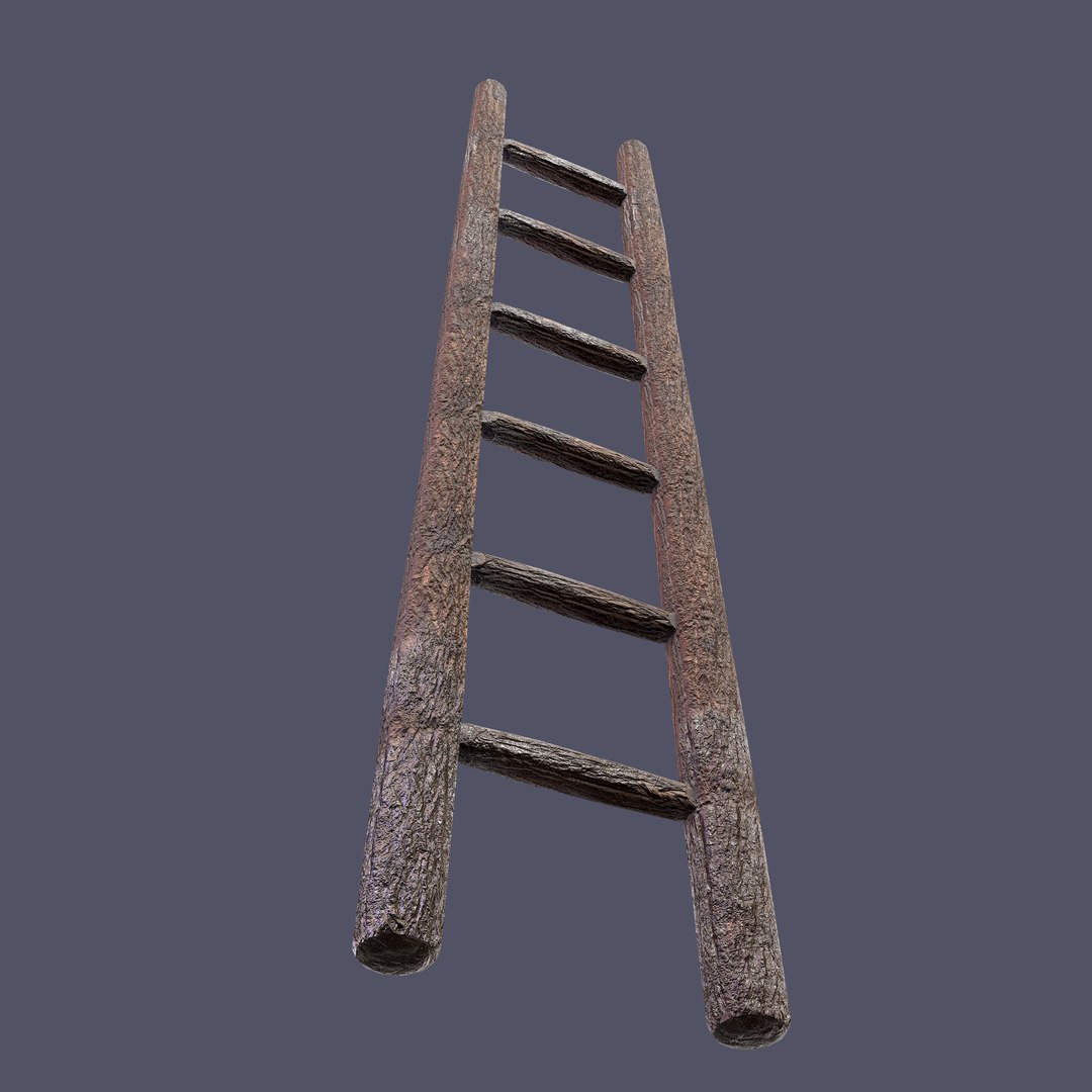 Muddy Ladder 3D Model - TurboSquid 1494440