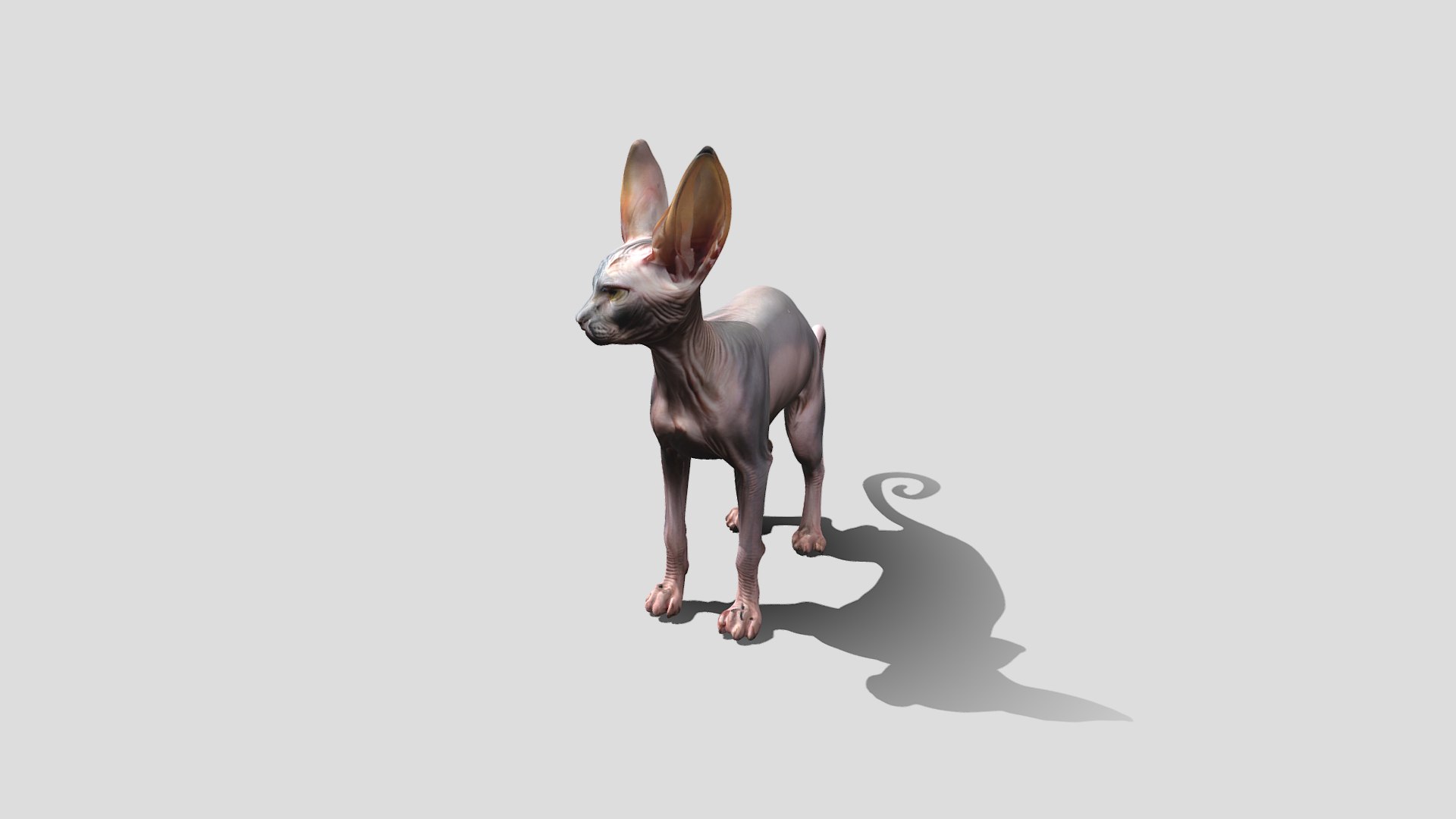 Sphynx Cat Animated 3D - TurboSquid 2331431