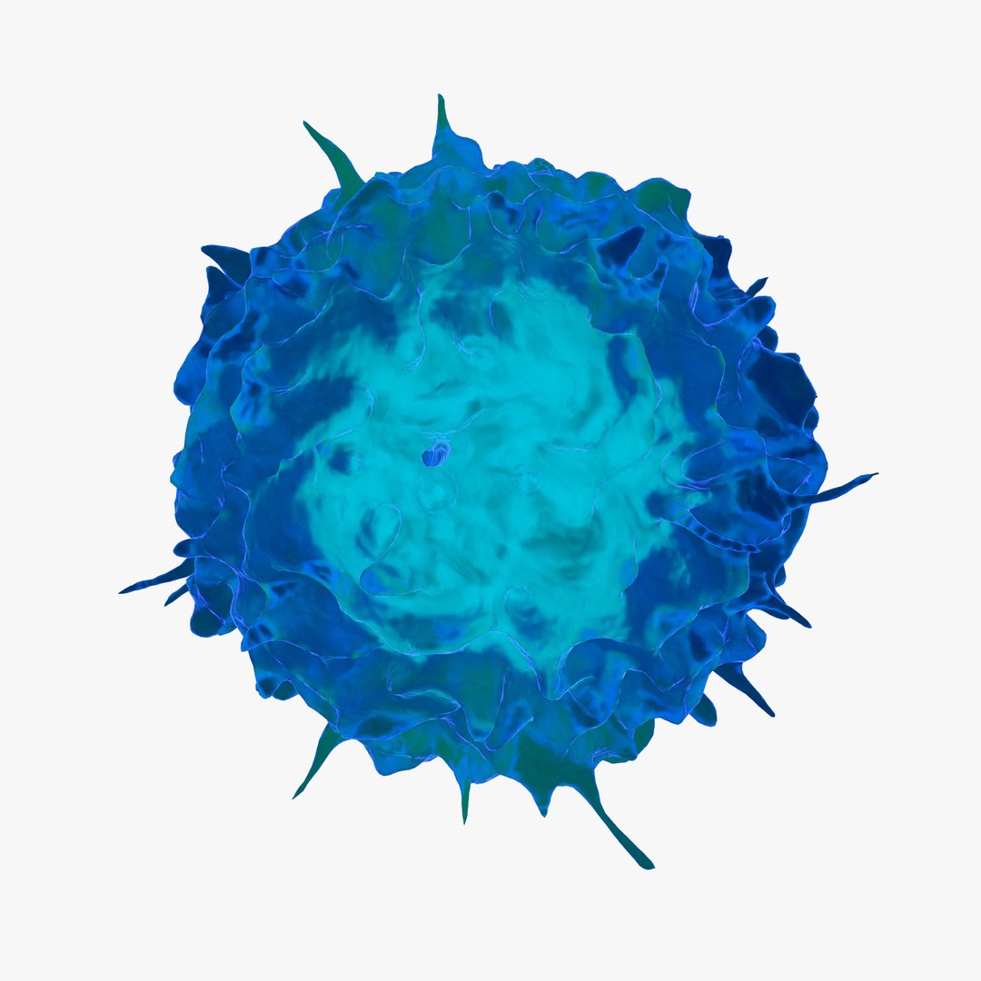 3D 3d Model Lymphocytes Pack Collection Model - TurboSquid 2263259