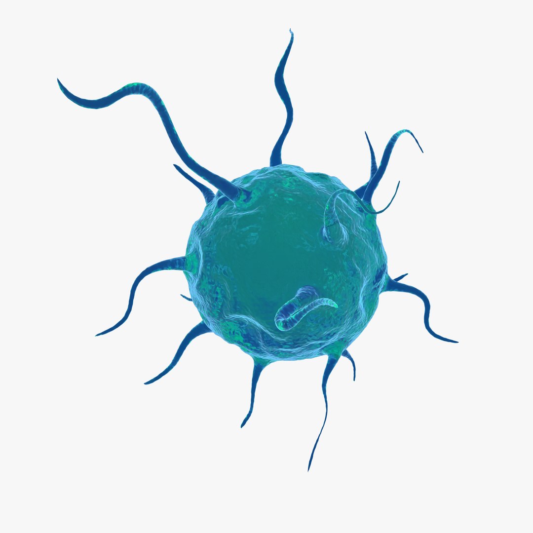 3D 3d Model Lymphocytes Pack Collection Model - TurboSquid 2263259