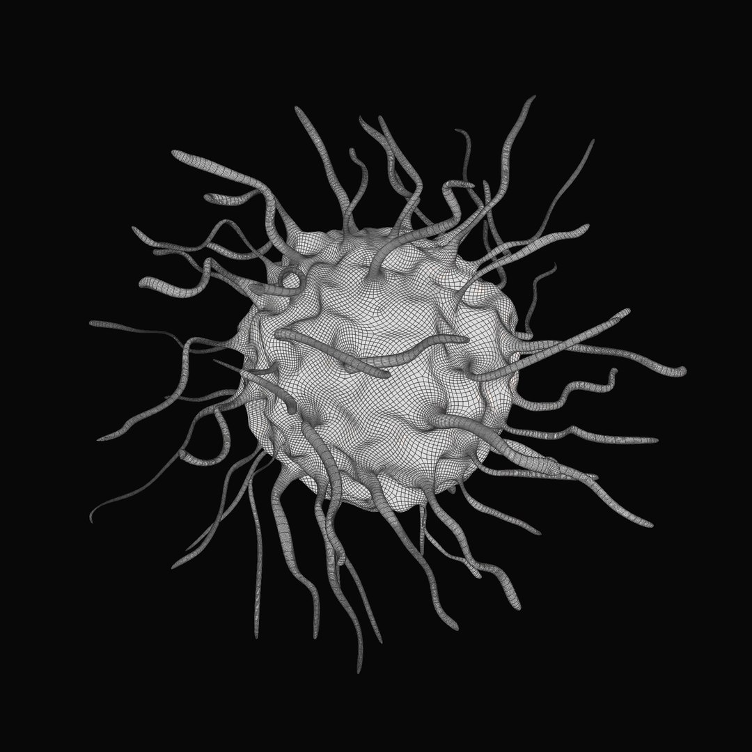 3D 3d Model Lymphocytes Pack Collection Model - TurboSquid 2263259