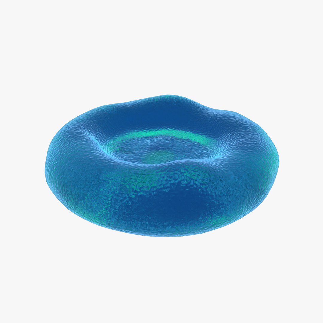 3D 3d Model Lymphocytes Pack Collection Model - TurboSquid 2263259