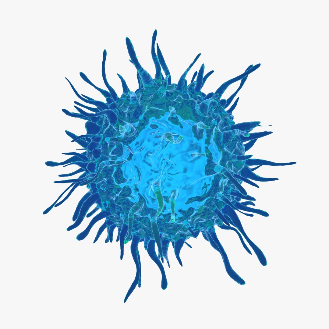 3D 3d Model Lymphocytes Pack Collection Model - TurboSquid 2263259