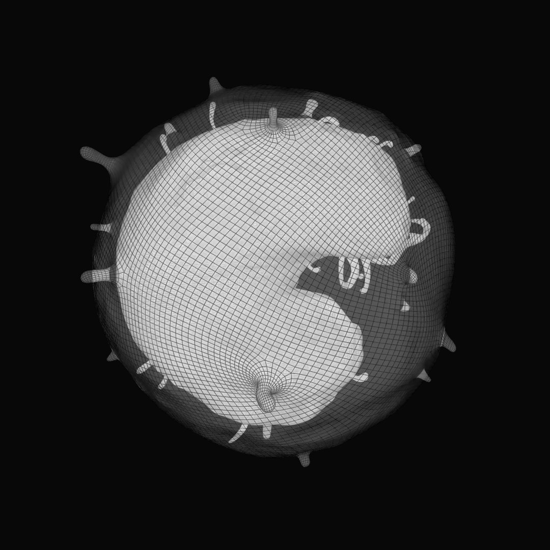 3D 3d Model Lymphocytes Pack Collection Model - TurboSquid 2263259