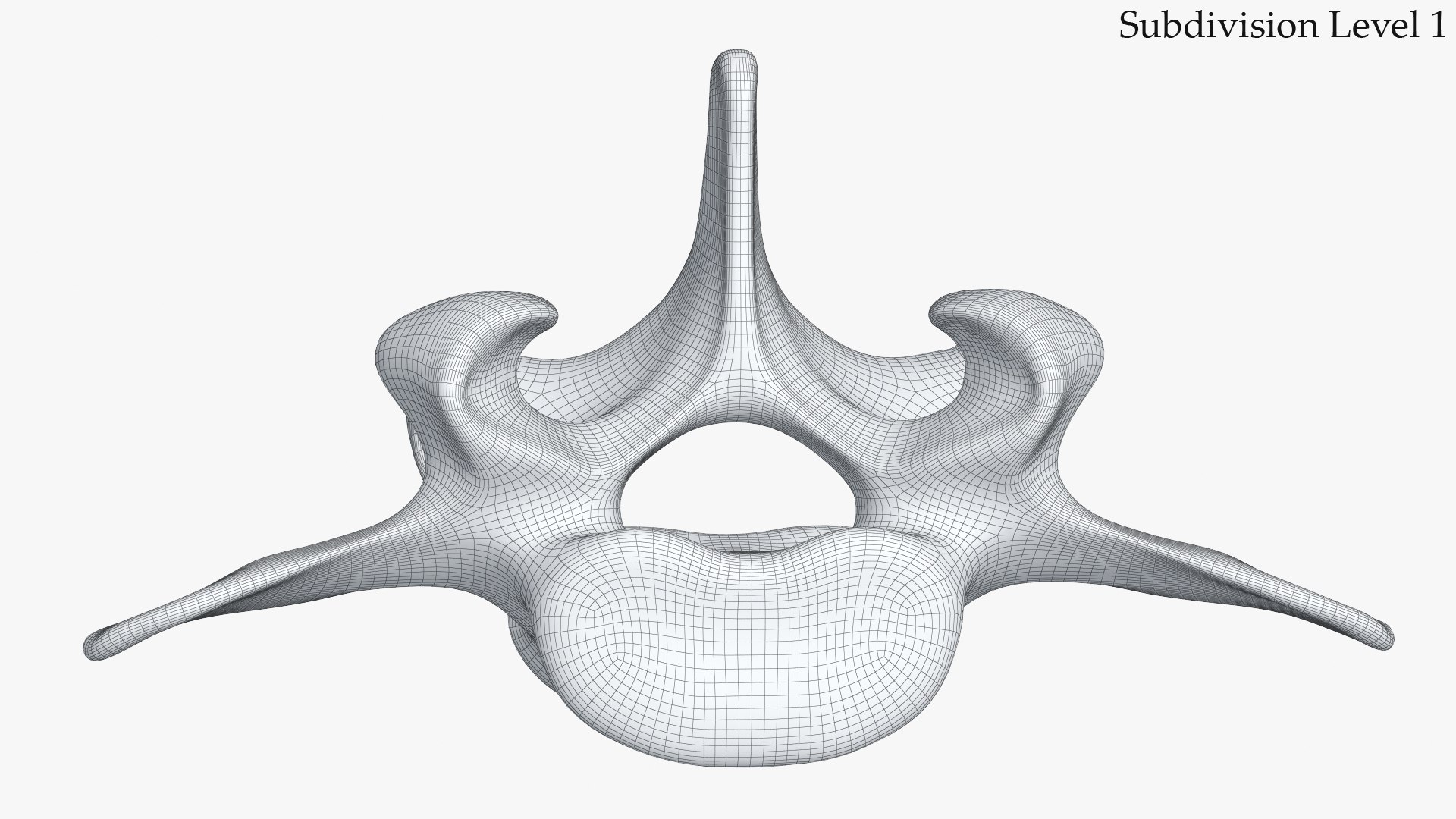 3D Spine Bone 1 Model - TurboSquid 1543819