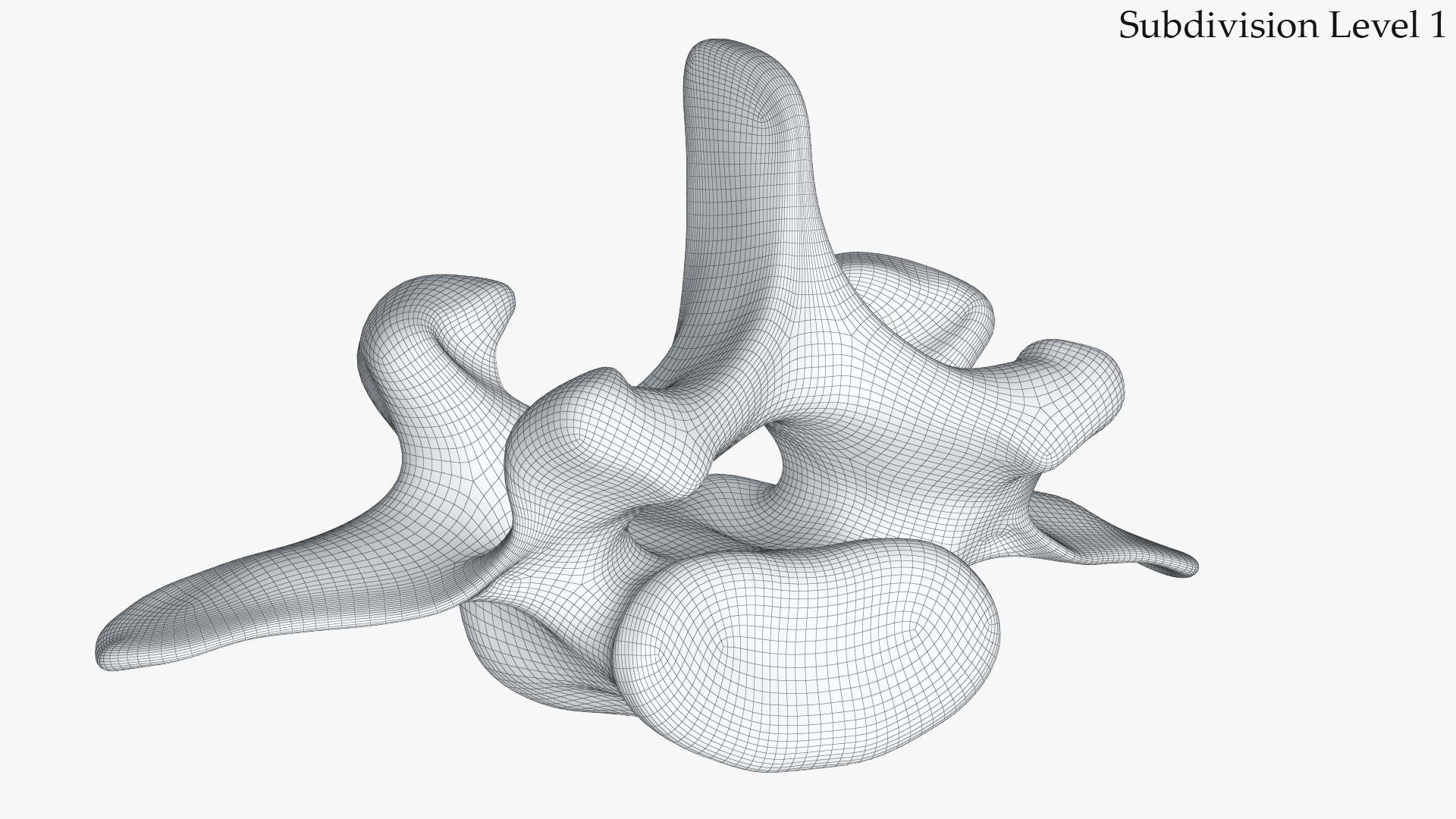 3D Spine Bone 1 Model - TurboSquid 1543819