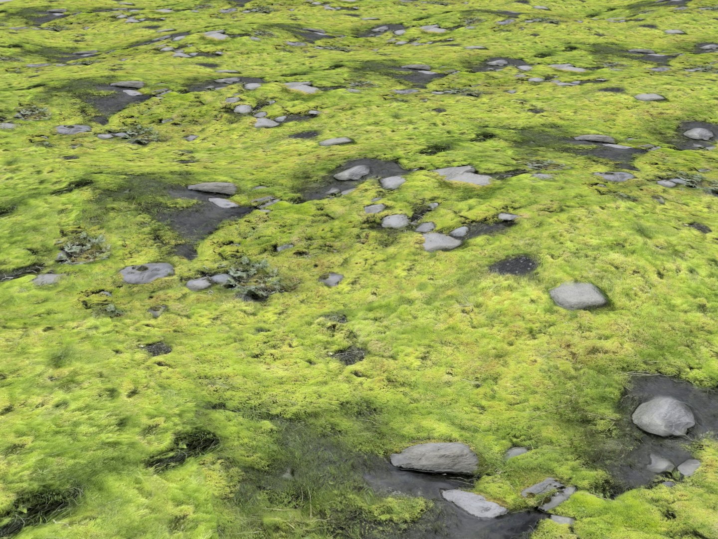 Ground Terrain Iceland Model - TurboSquid 1711158