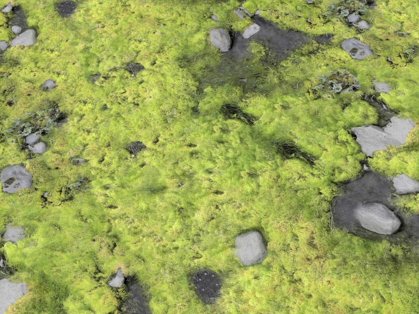 Ground Terrain Iceland Model - TurboSquid 1711158